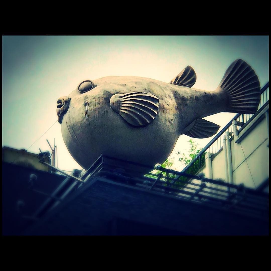 Big Fish – Tokyo, Japan – The Gravis Carte-Wheeler